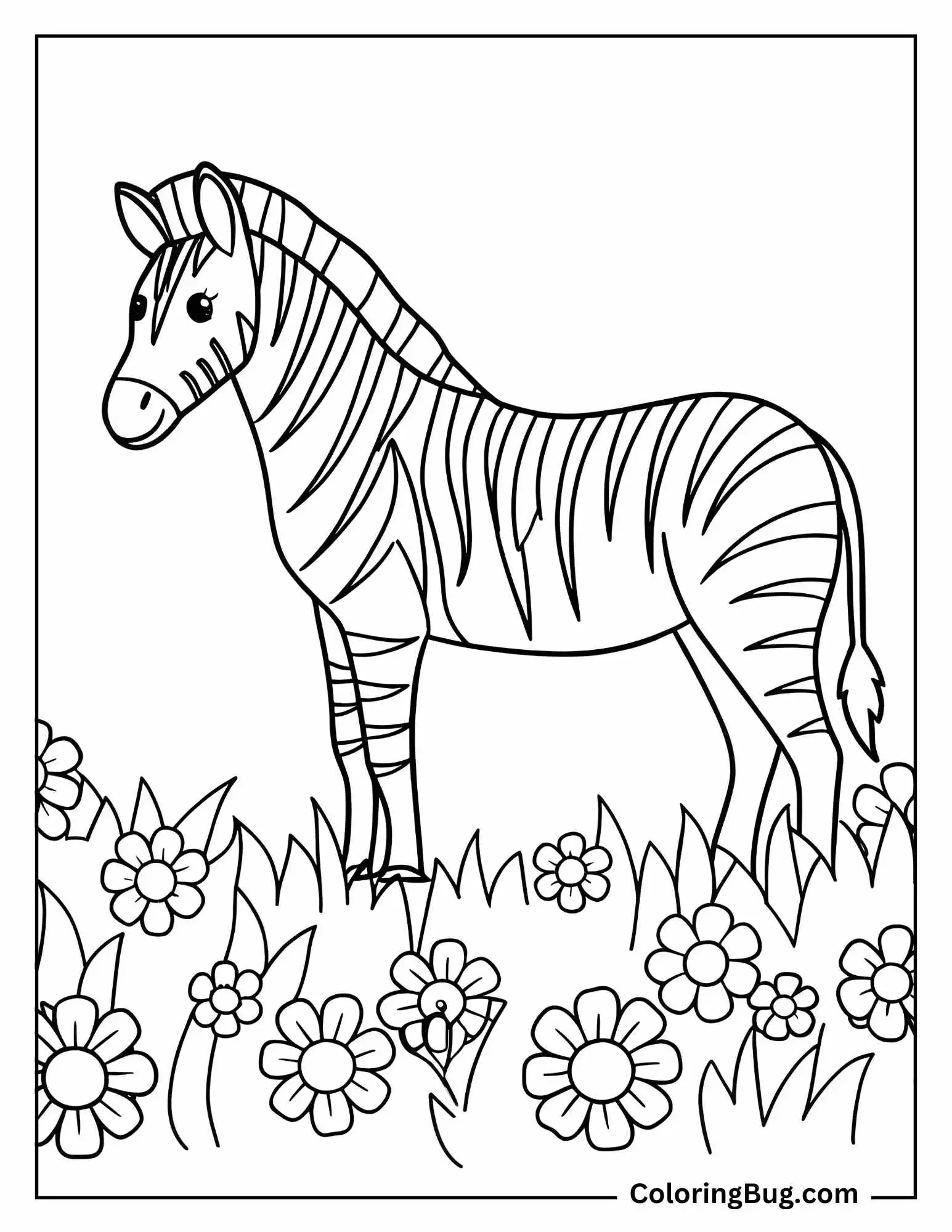 28 Zebra Coloring Pages (Free Printable PDFs)