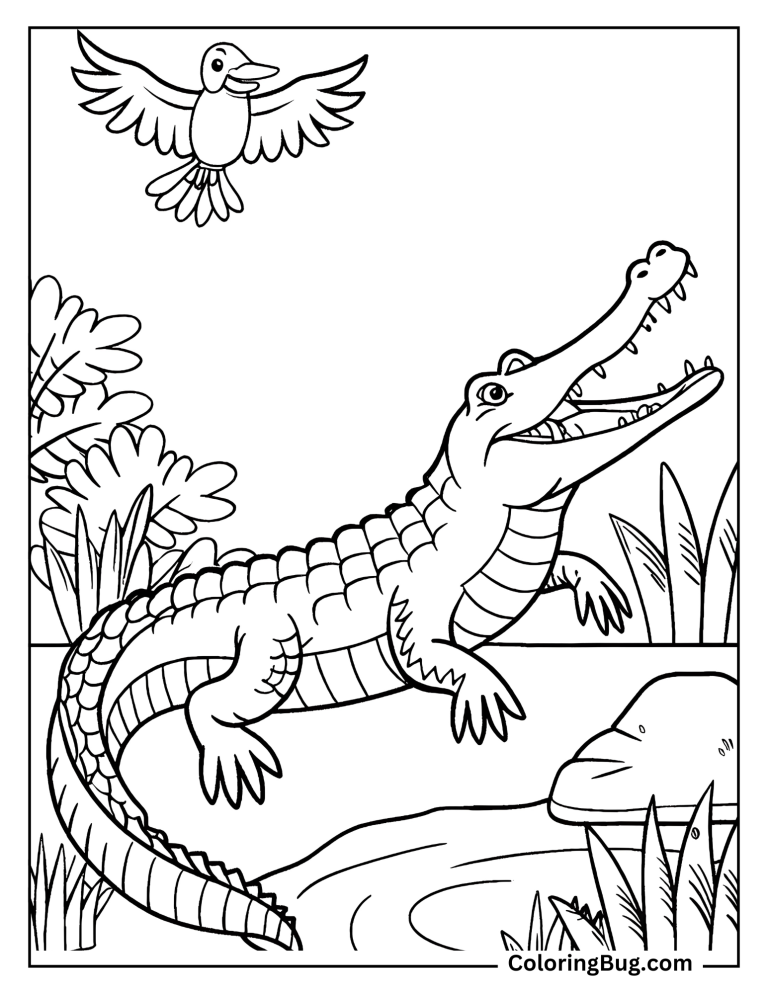 40 Crocodile & Alligator Coloring Pages (Free Printable PDFs)