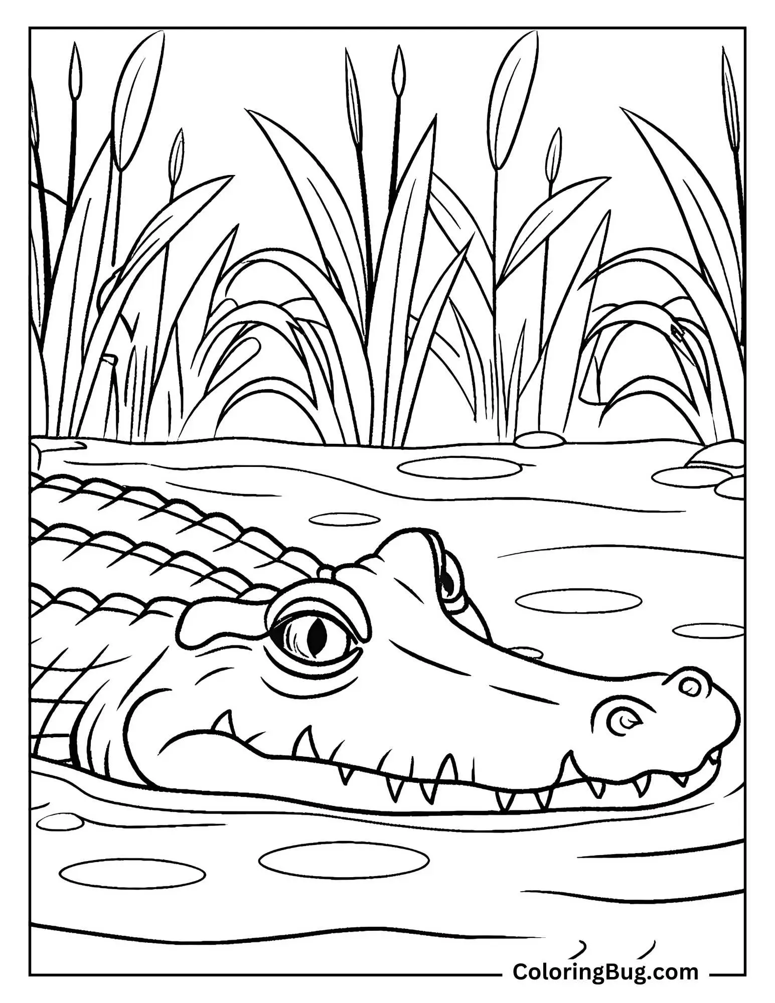 40 Crocodile & Alligator Coloring Pages (Free Printable PDFs)