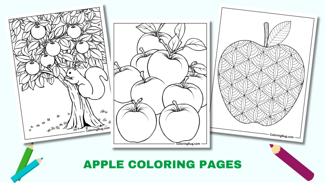 30 Apple Coloring Pages (Free Printable PDFs)