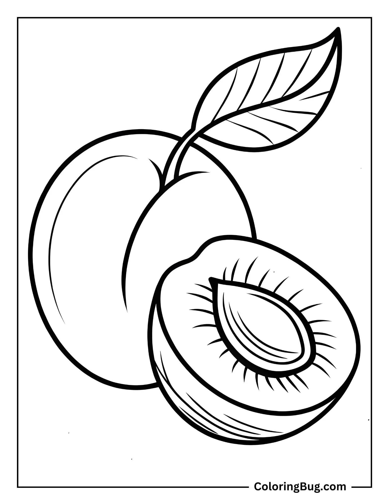 40 Fruit Coloring Pages (Free Printable PDFs)