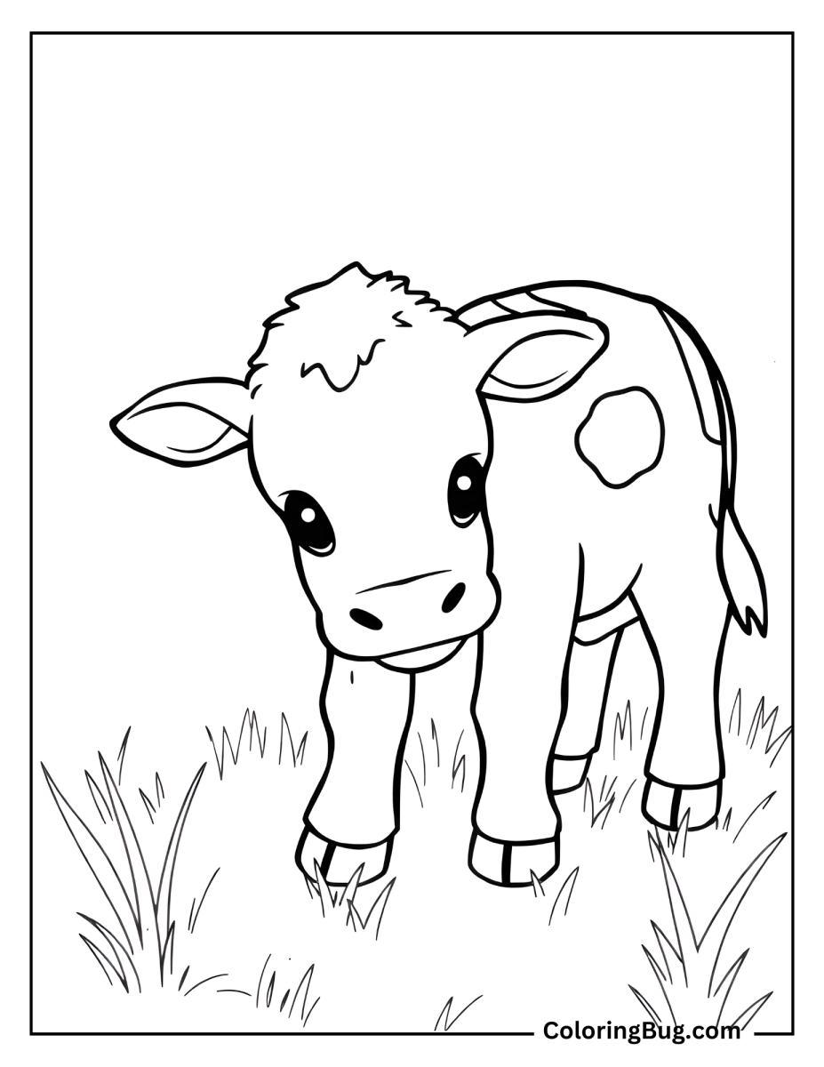 20 Baby Cow Coloring pages (Free printable PDFs)