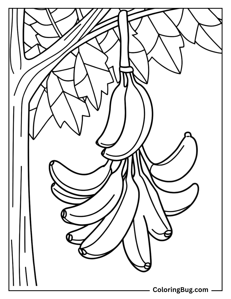 28 Banana Coloring Pages (Free Printable PDFs)