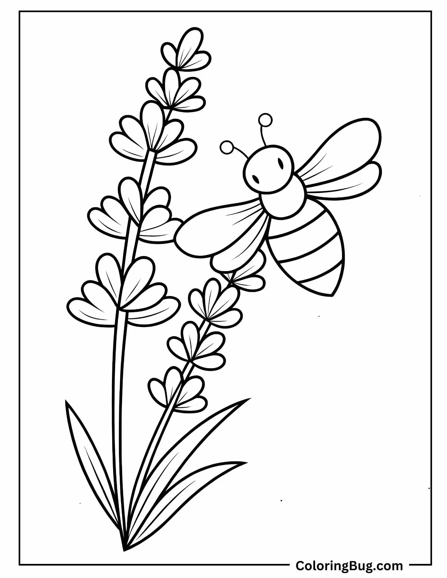 40 Bee Coloring Pages (Free Printable PDFs)