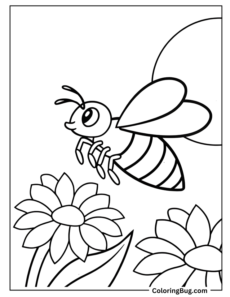 40 Bee Coloring Pages (Free Printable PDFs)
