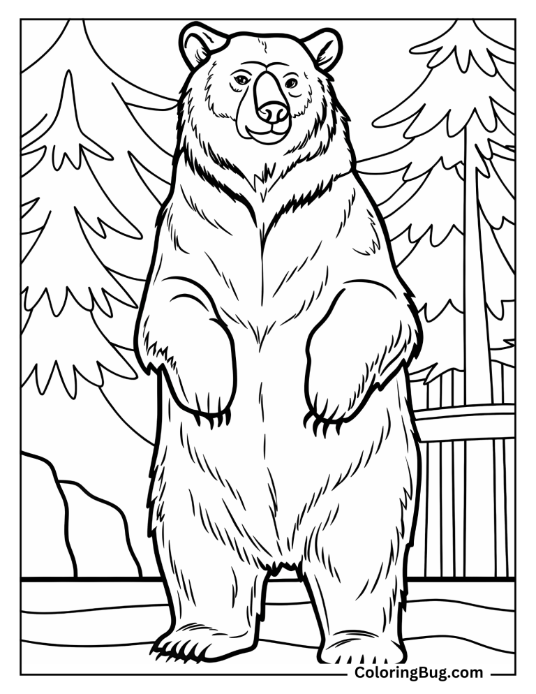 50 Bear Coloring Pages (Free Printable PDFs)