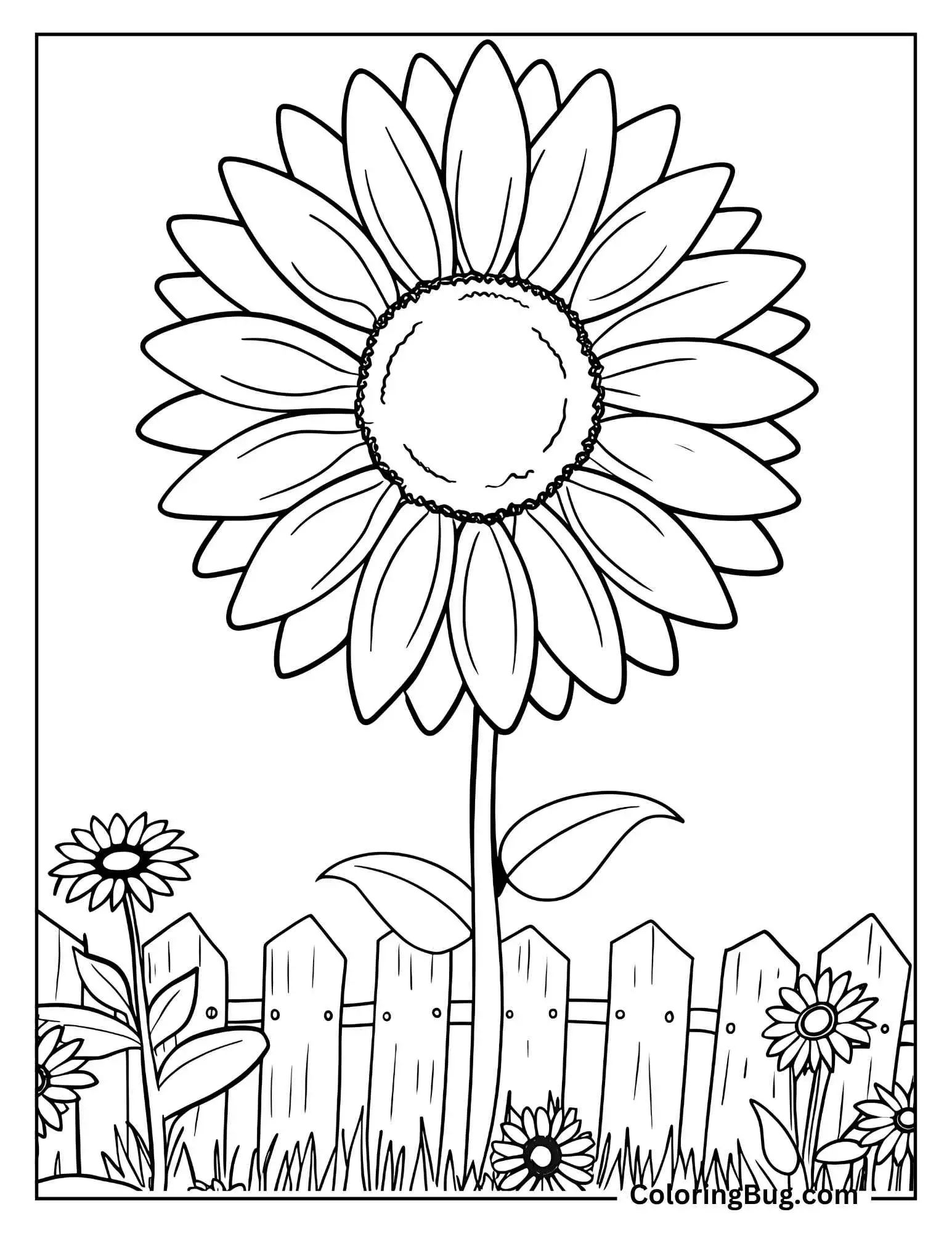 30 Sunflower Coloring Pages (Free Printable PDFs)