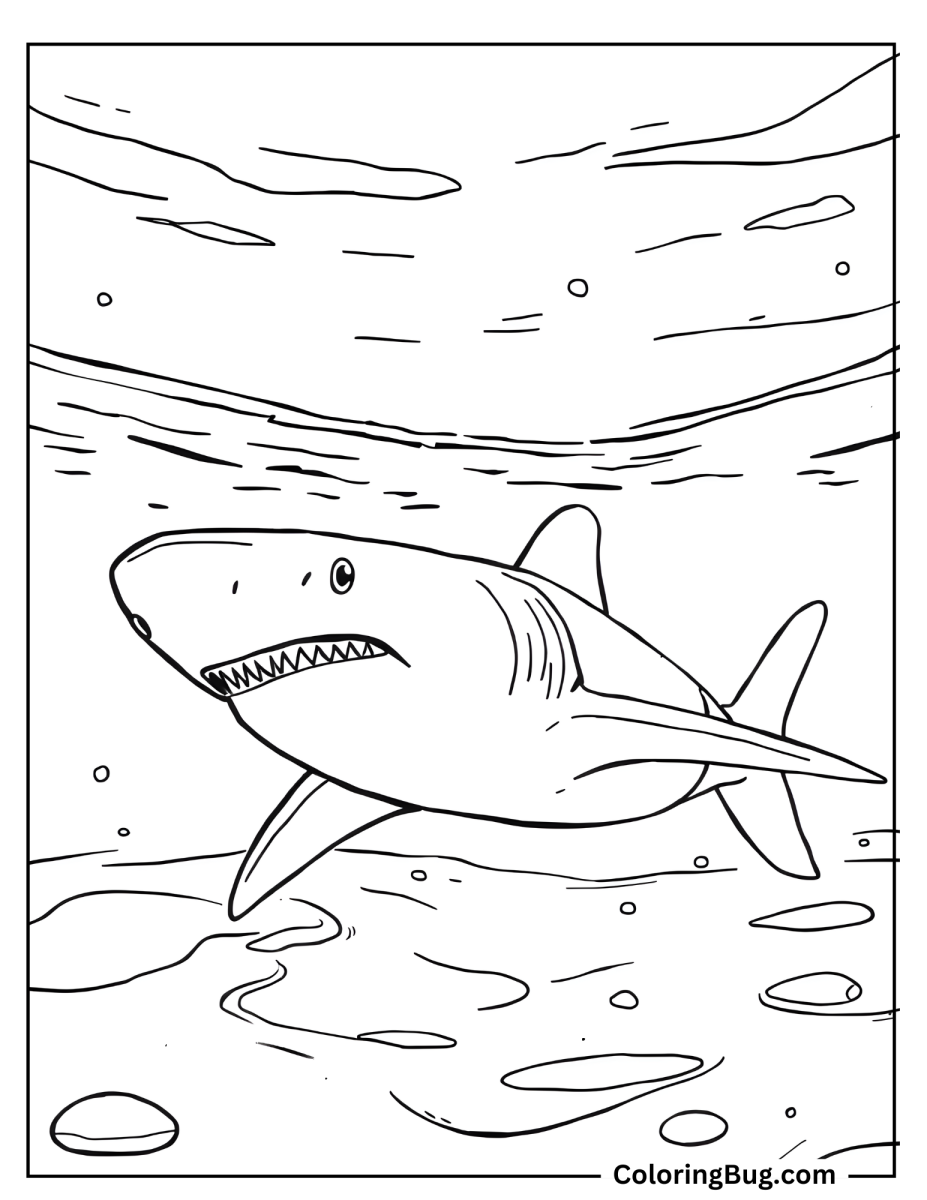 40 Shark Coloring Pages (Free Printable PDFs)