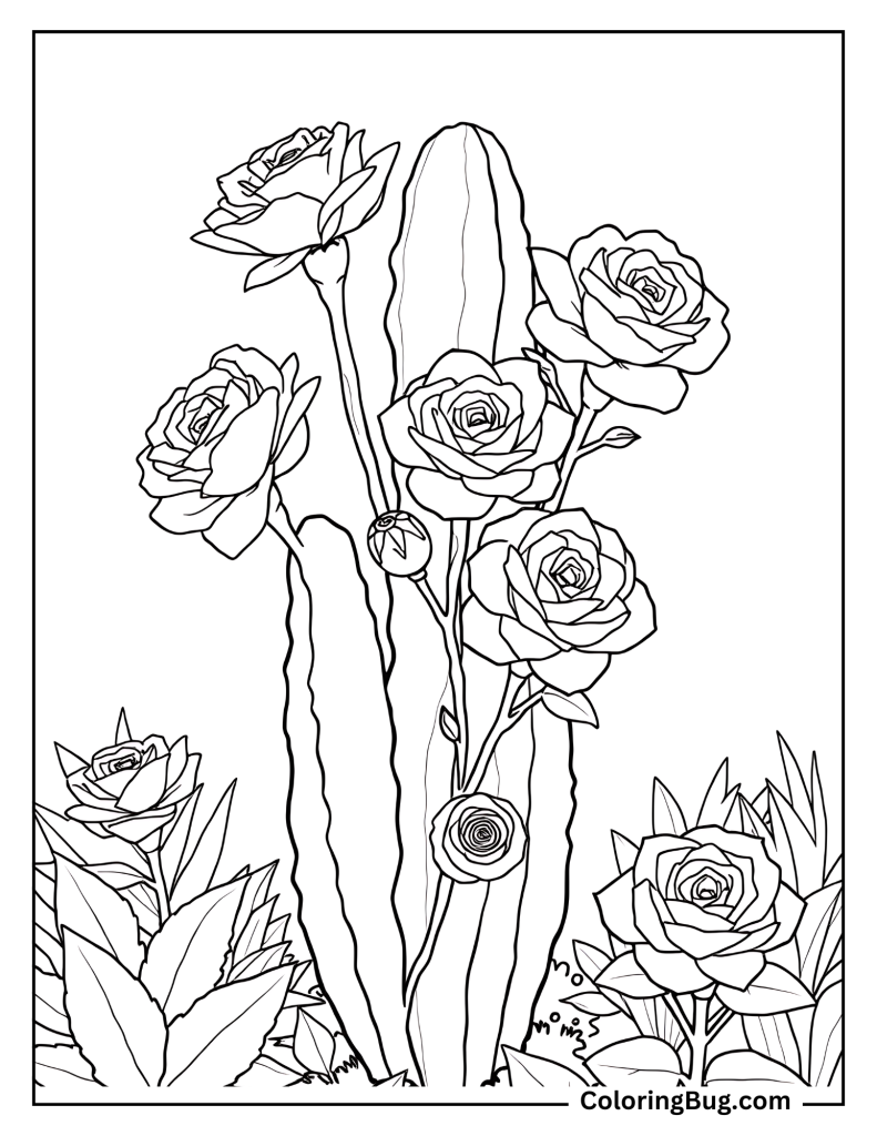 30 Cactus Coloring Pages (Free Printable PDFs)