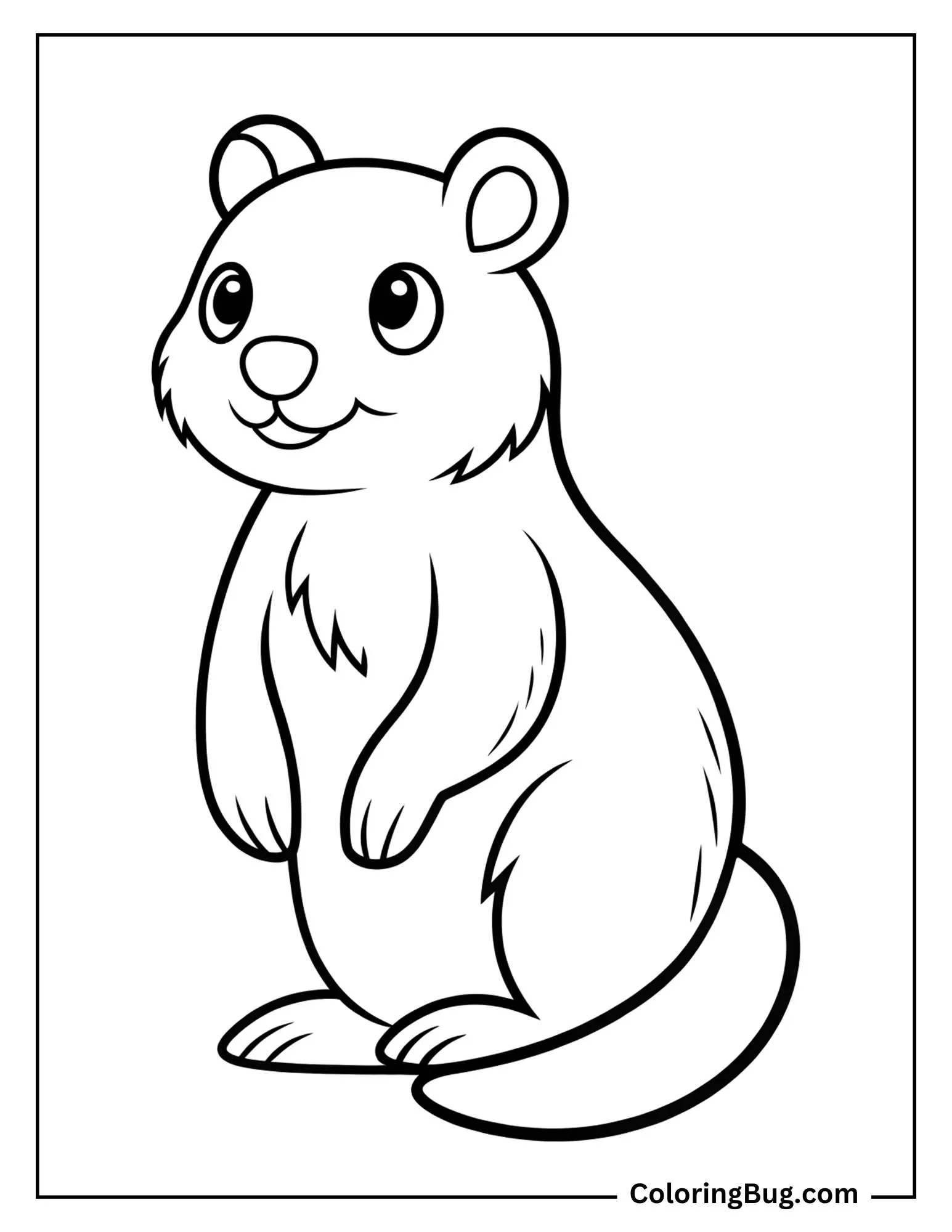 72 Cute Animal Coloring Pages (Free Printable PDFs)