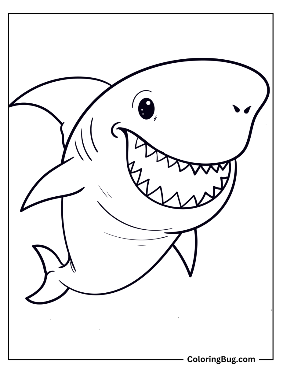 40 Shark Coloring Pages (Free Printable PDFs)