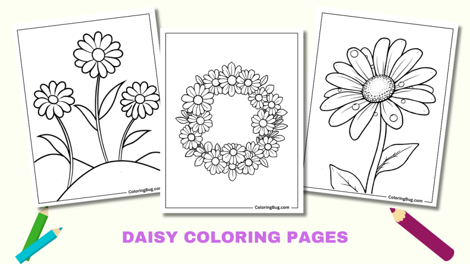 40 Daisy Flowers Coloring pages (Free printable PDFs)