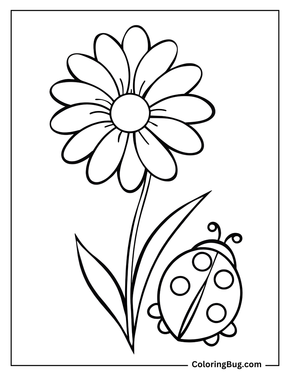 40 Daisy Flowers Coloring pages (Free printable PDFs)