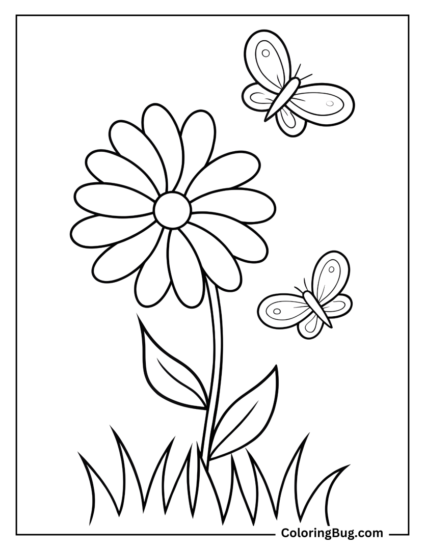 40 Daisy Flowers Coloring pages (Free printable PDFs)