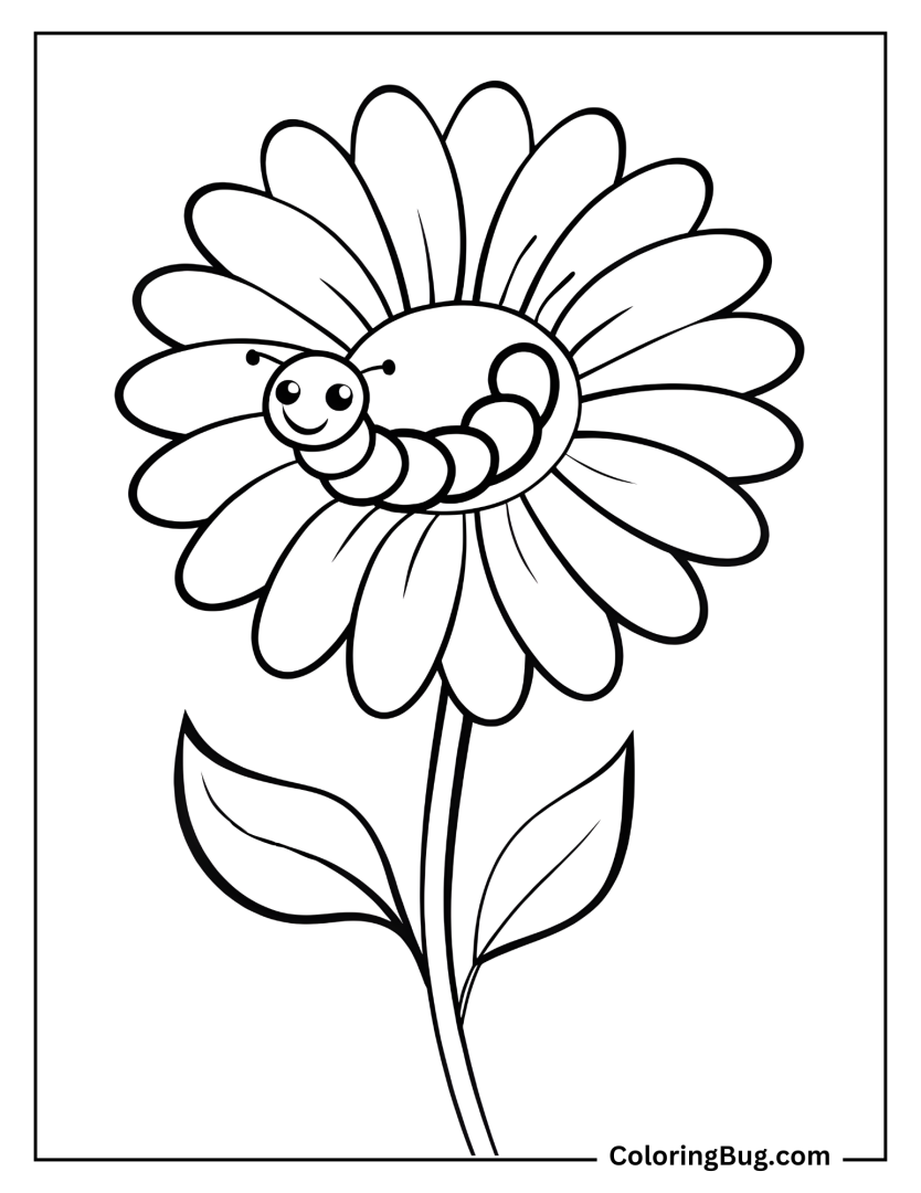 40 Daisy Flowers Coloring pages (Free printable PDFs)