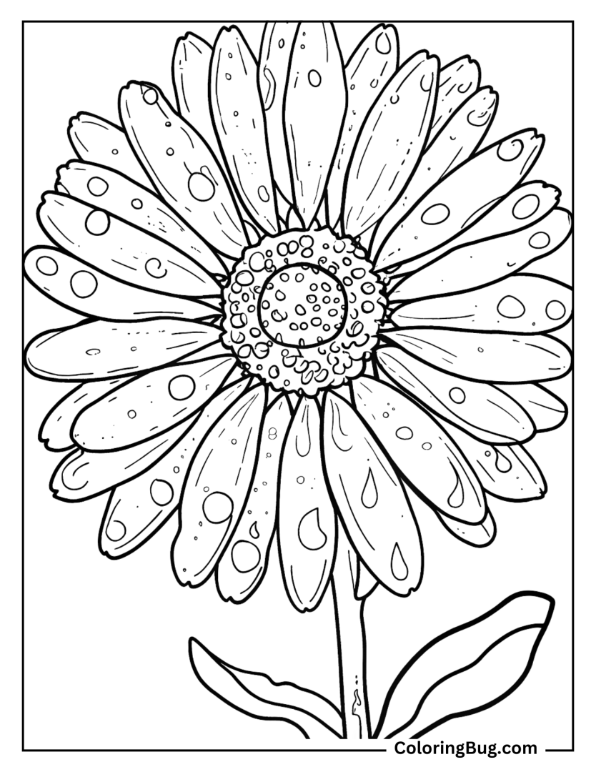 30 Sunflower Coloring Pages (Free Printable PDFs)