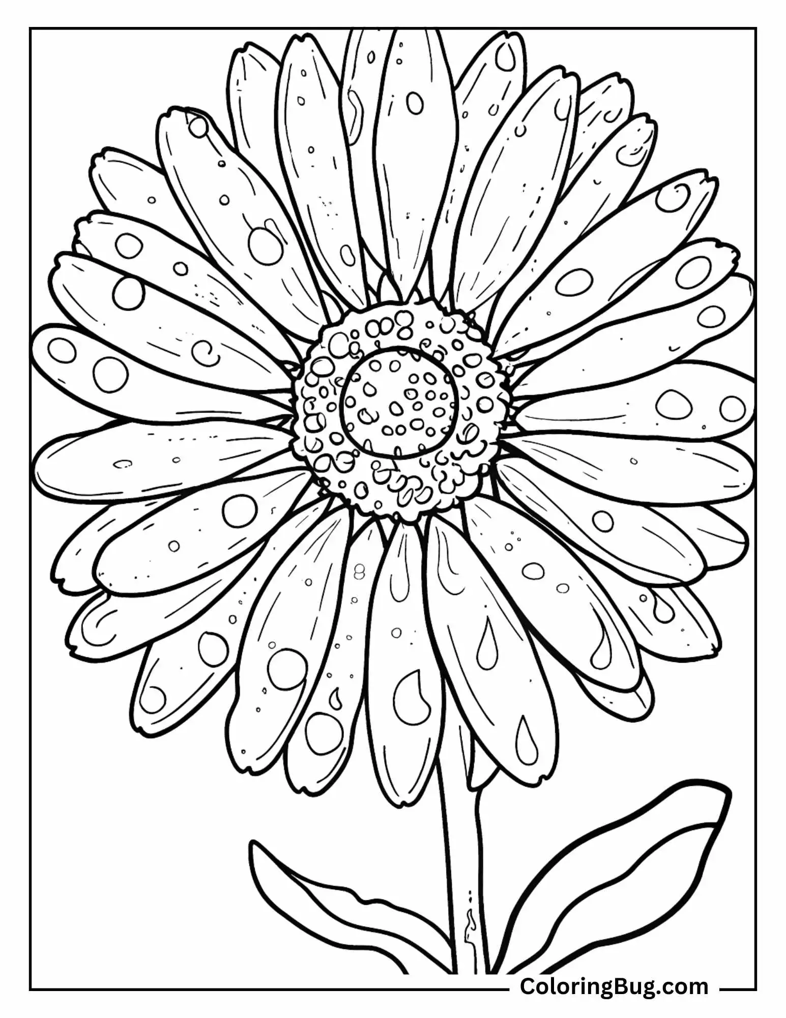 30 Sunflower Coloring Pages (Free Printable PDFs)