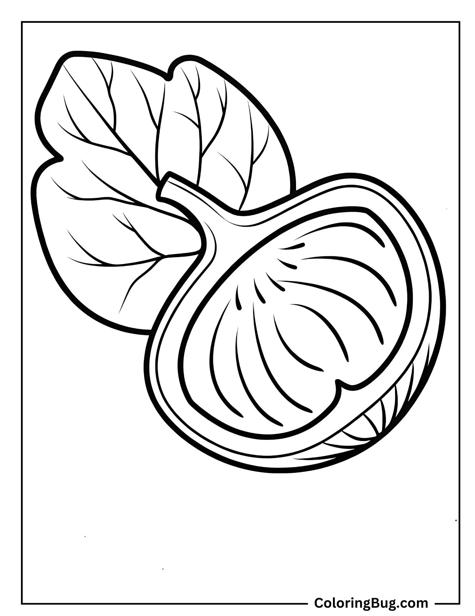 40 Fruit Coloring Pages (Free Printable PDFs)
