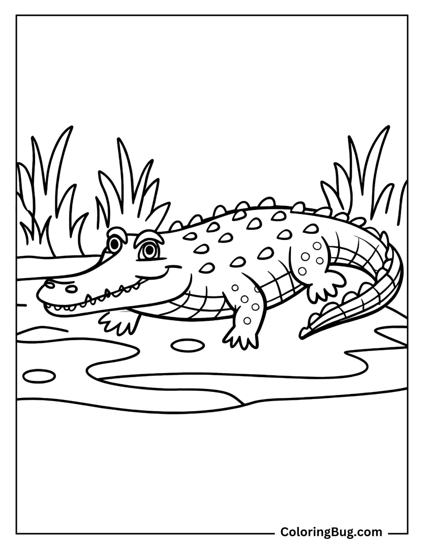 40 Crocodile & Alligator Coloring Pages (Free Printable PDFs)