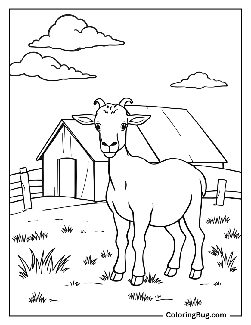 30 Goat Coloring Pages (Free Printable PDFs)