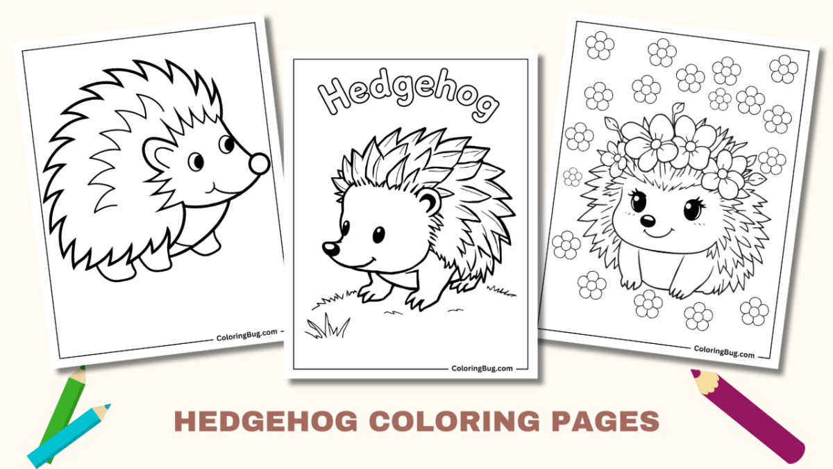 40 Hedgehog Coloring Pages (Free Printable PDFs)