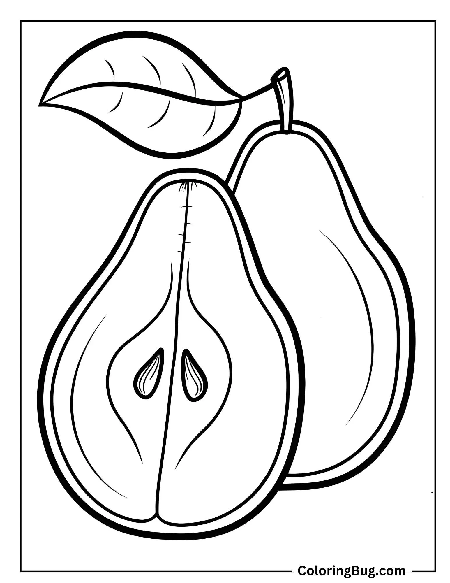40 Fruit Coloring Pages (Free Printable PDFs)