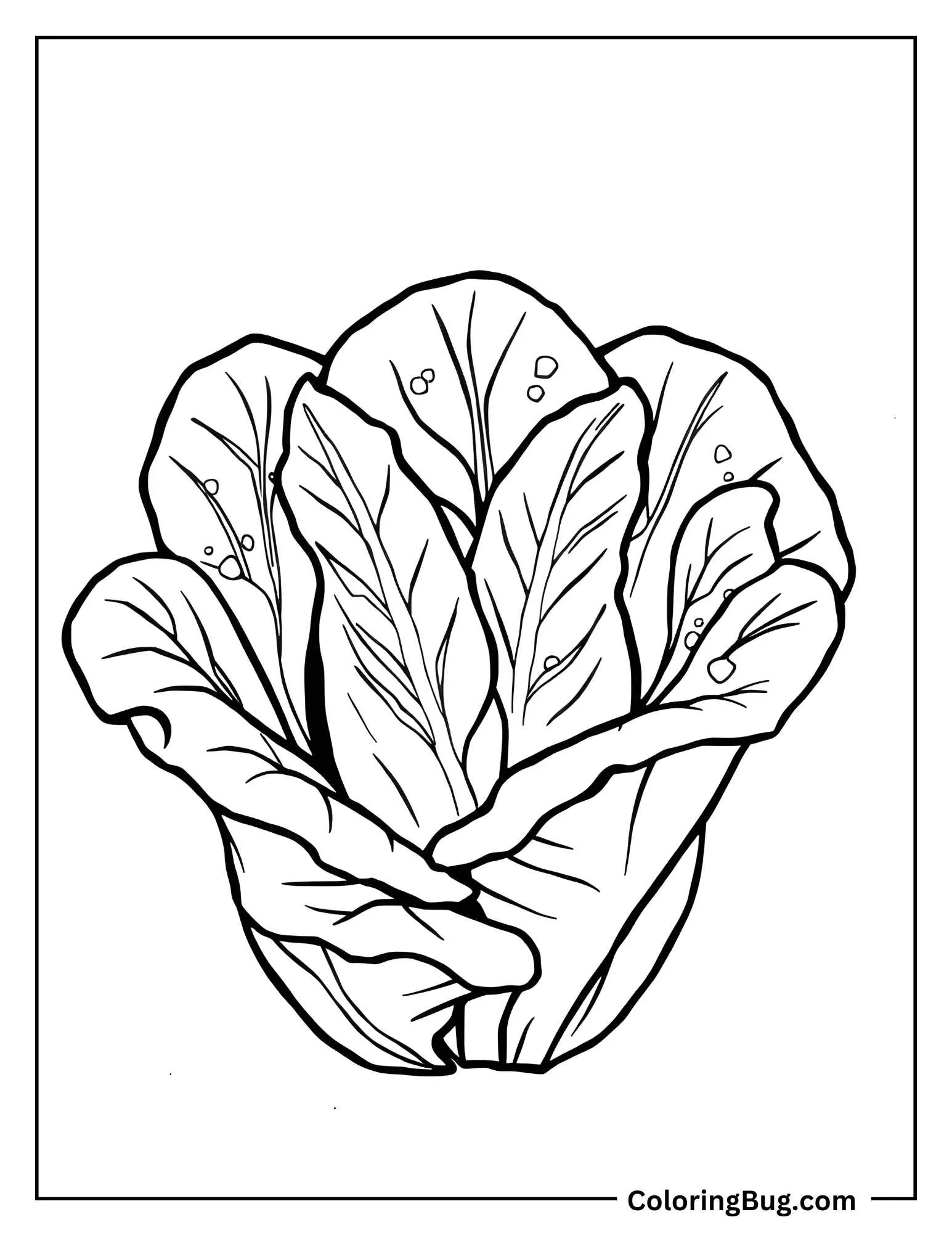 40 Vegetable Coloring Pages (Free Printable PDFs)