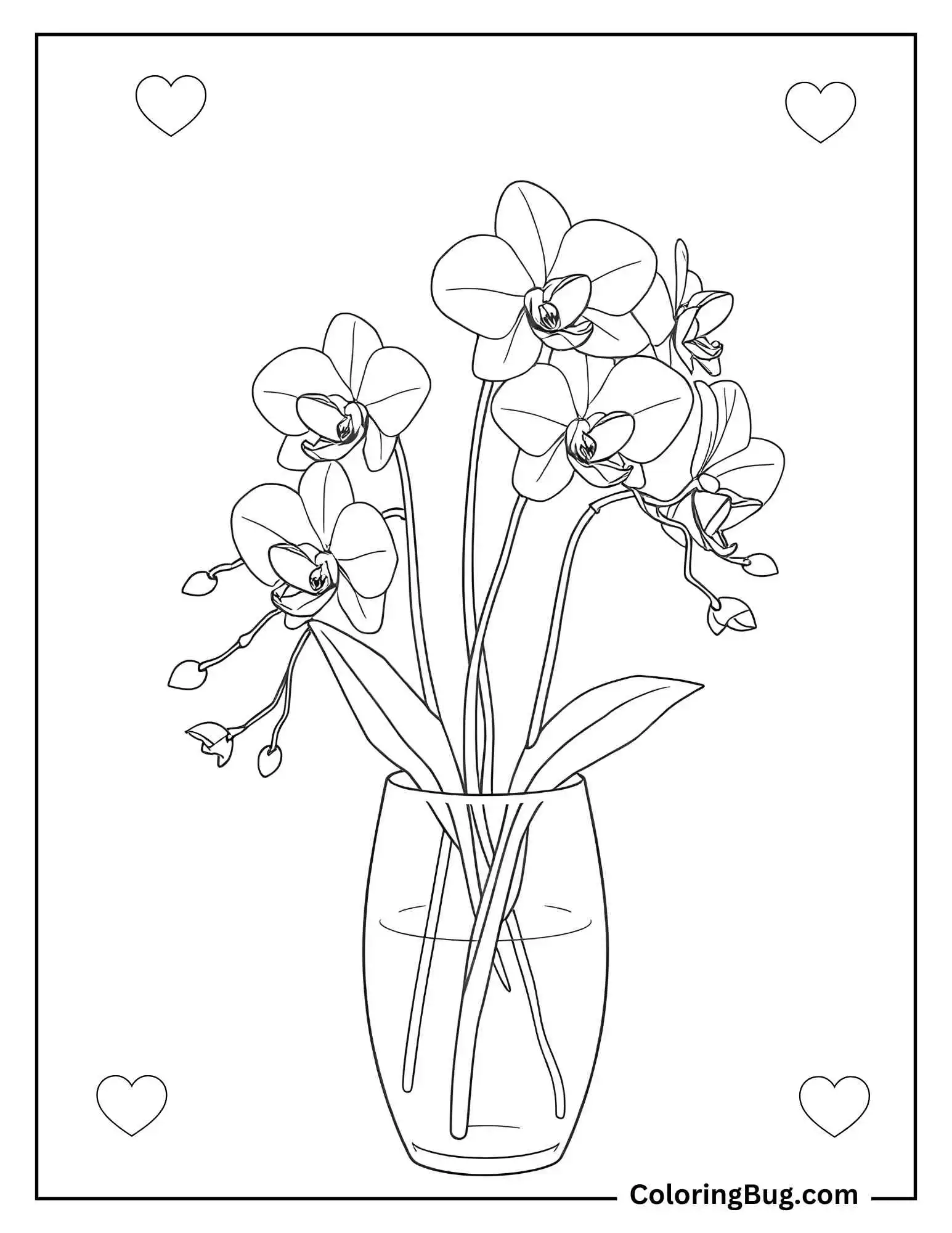 40 Orchid Coloring Pages (Free Printable PDFs)