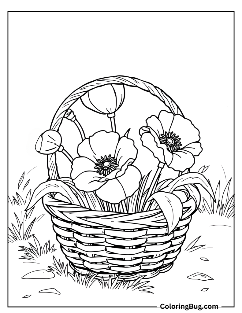 30 Poppy Flower Coloring Pages (Free Printable PDFs)