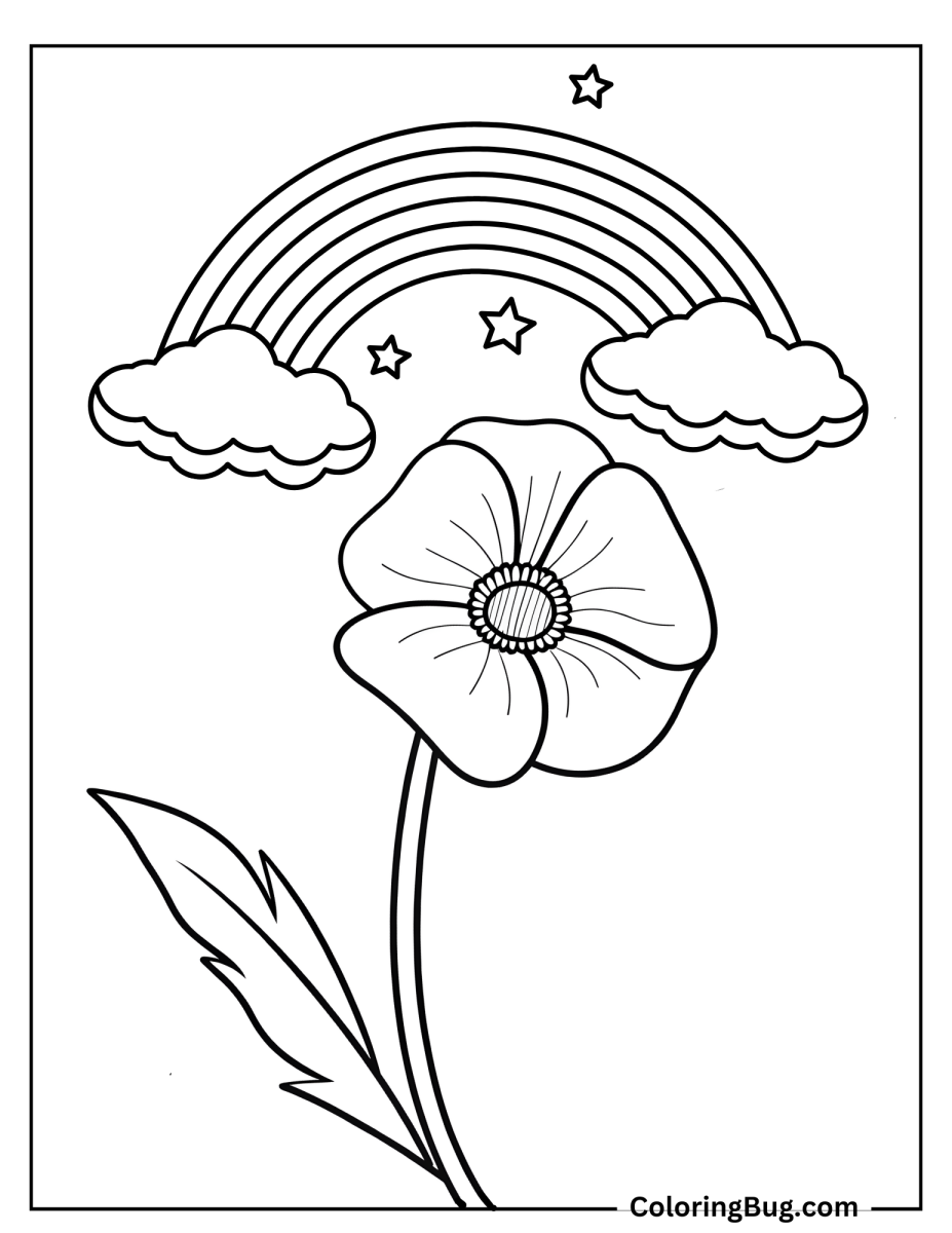 30 Poppy Flower Coloring Pages (Free Printable PDFs)