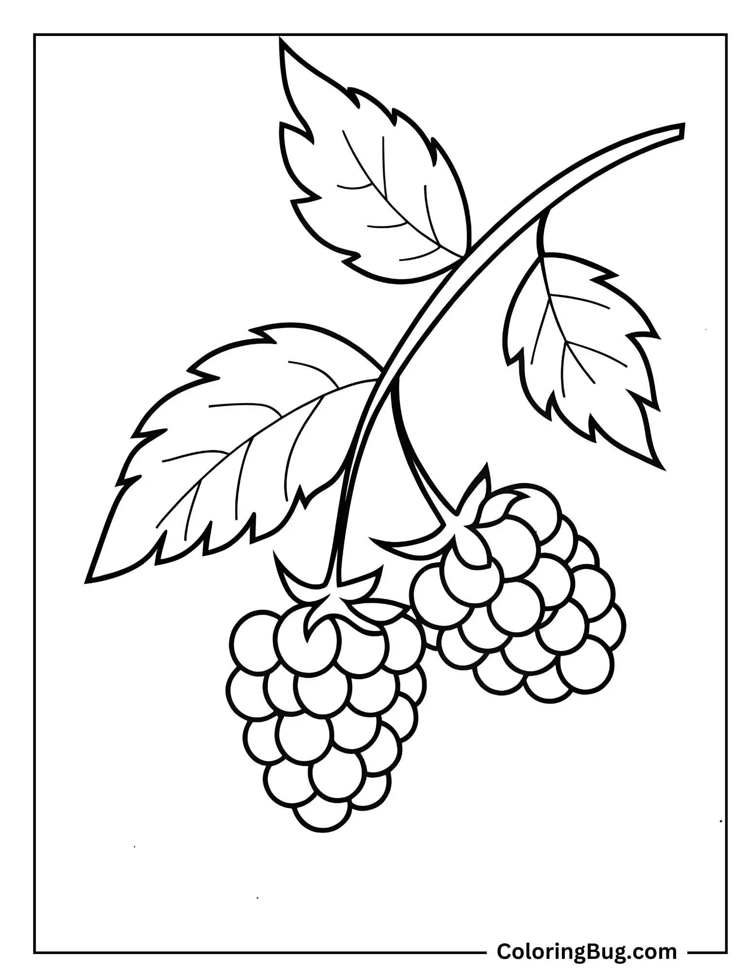 40 Fruit Coloring Pages (Free Printable PDFs)
