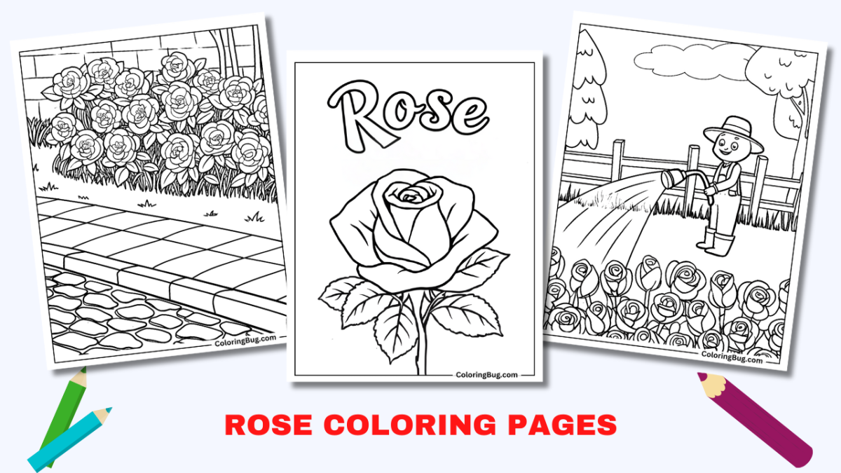 40 Rose Coloring Pages (Free Printable PDFs)