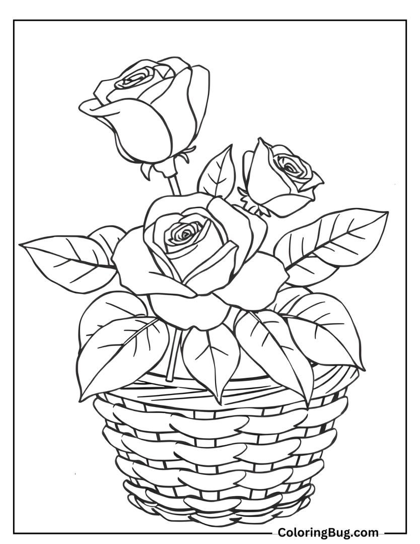 40 Rose Coloring Pages (Free Printable PDFs)