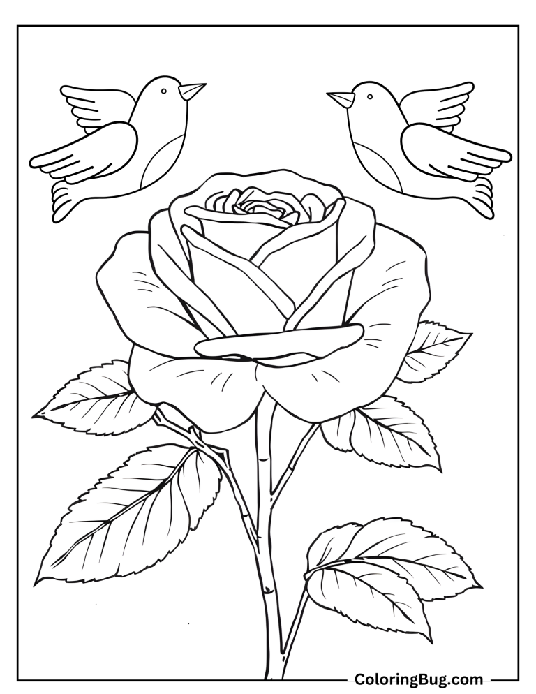 40 Rose Coloring Pages (Free Printable PDFs)