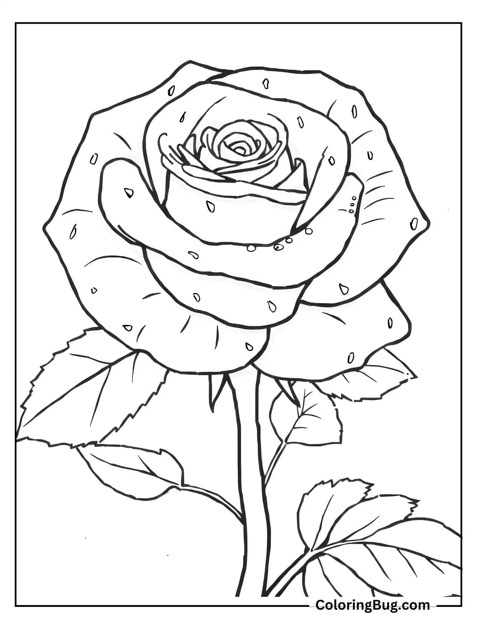 40 Rose Coloring Pages (Free Printable PDFs)