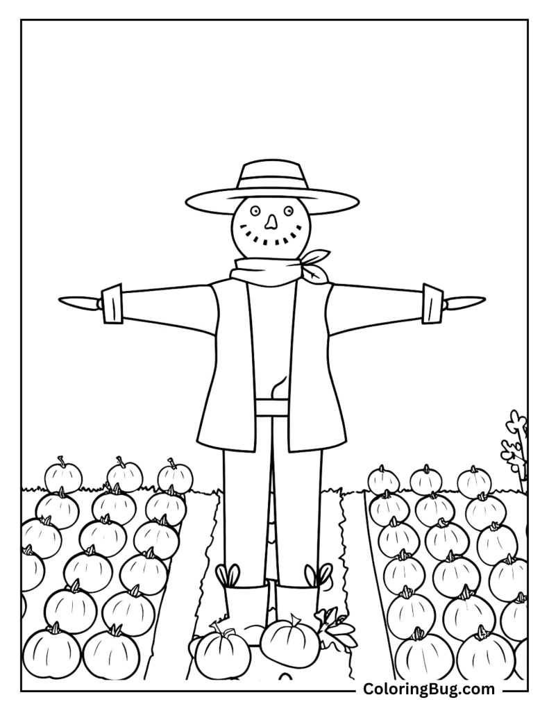 28 Scarecrow Coloring Pages (Free Printable PDFs)