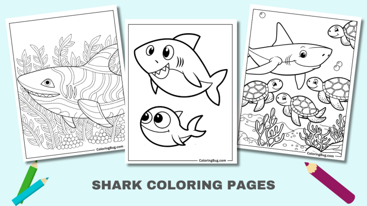 40 Shark Coloring Pages (Free Printable PDFs)