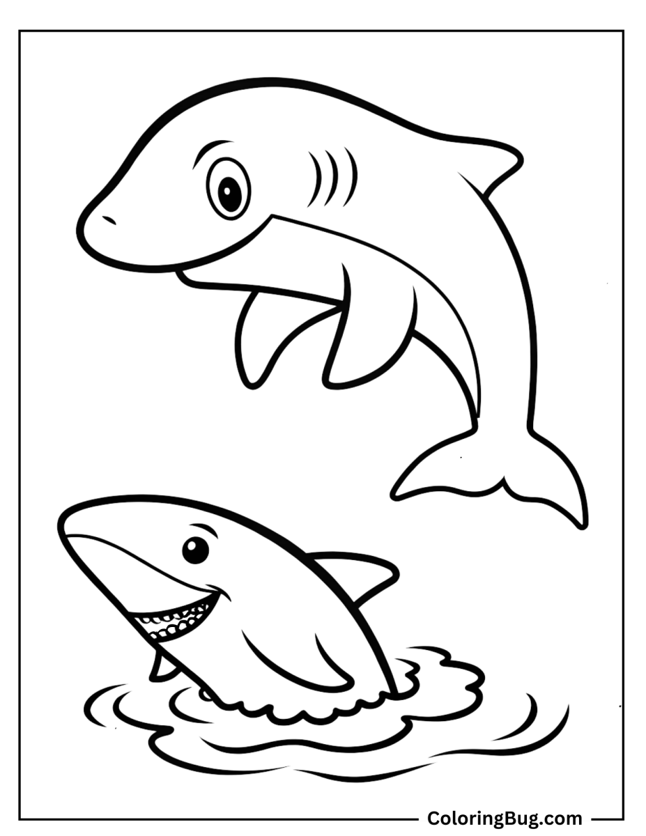 40 Shark Coloring Pages (Free Printable PDFs)