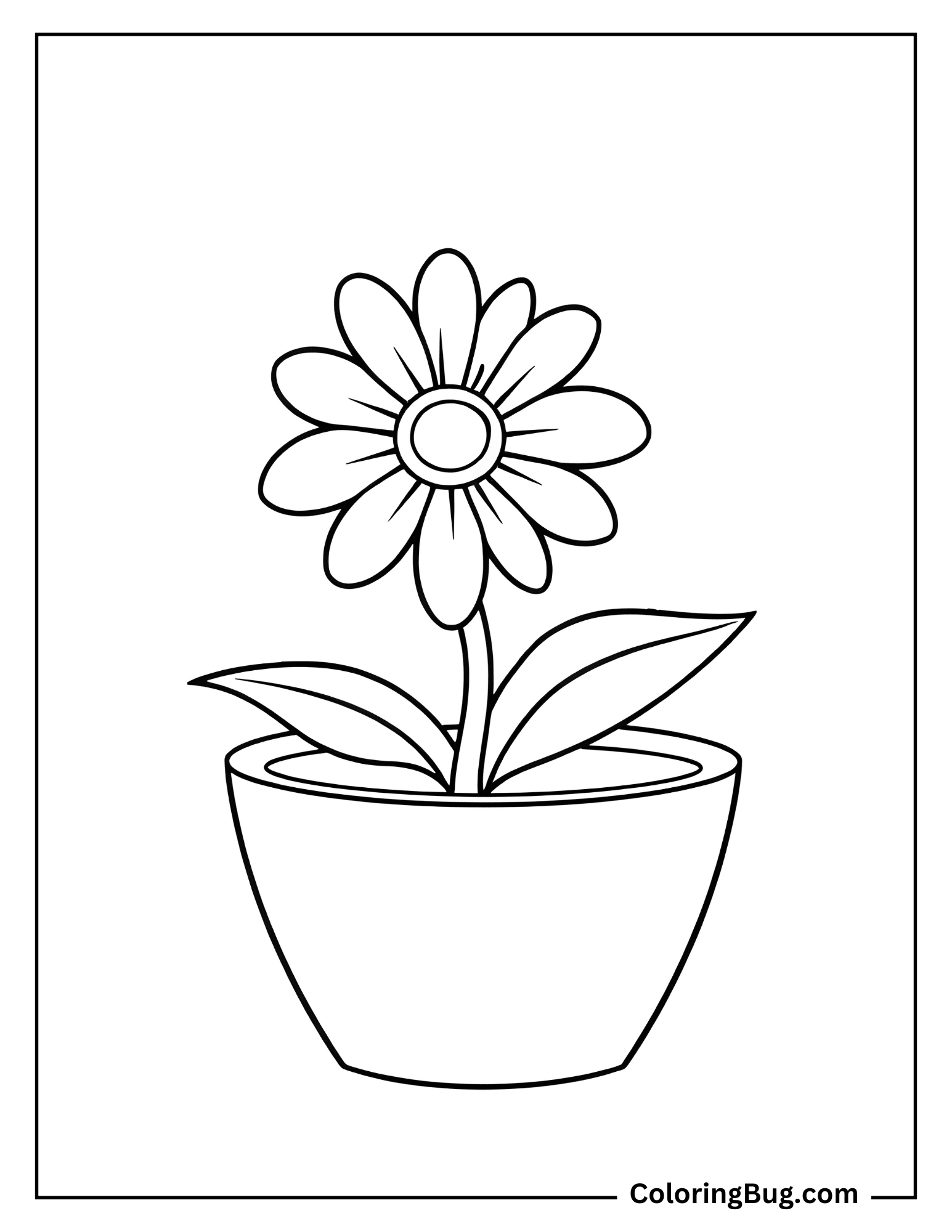 40 Daisy Flowers Coloring pages (Free printable PDFs)