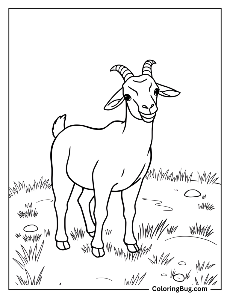 30 Goat Coloring Pages (Free Printable PDFs)