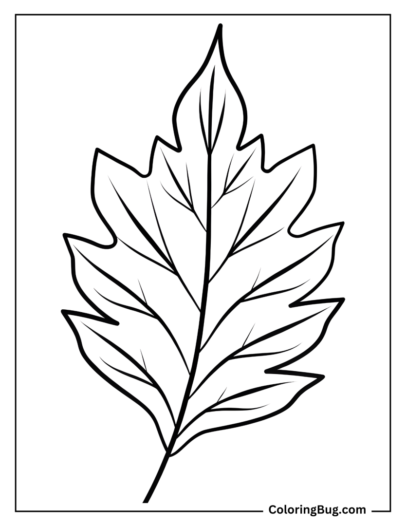 40 Leaf Coloring Pages (Free Printable PDFs)