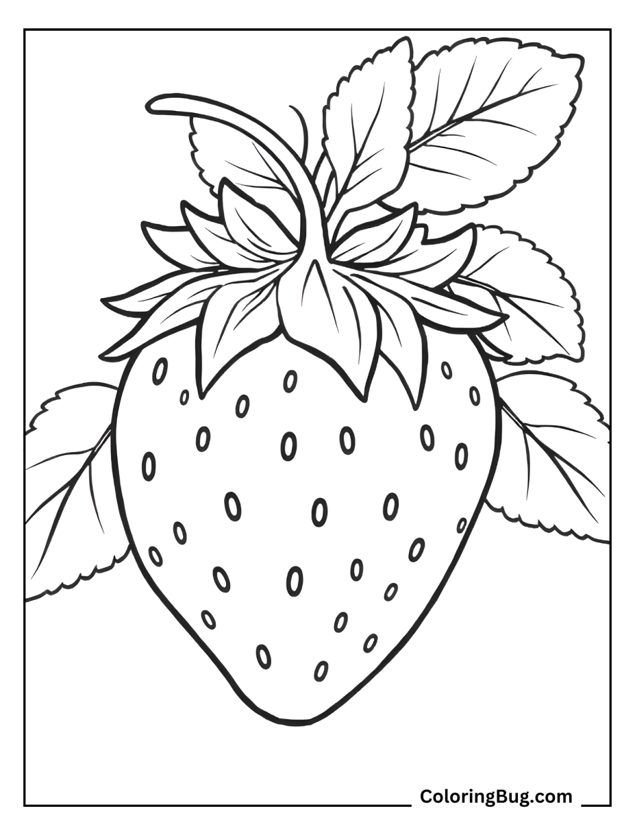30 Strawberry Coloring Pages (Free Printable PDFs)