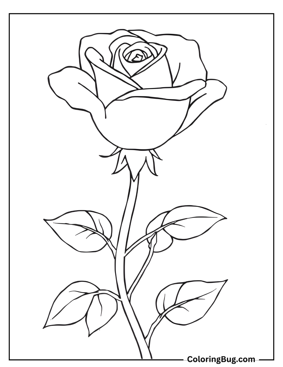 40 Rose Coloring Pages (Free Printable PDFs)
