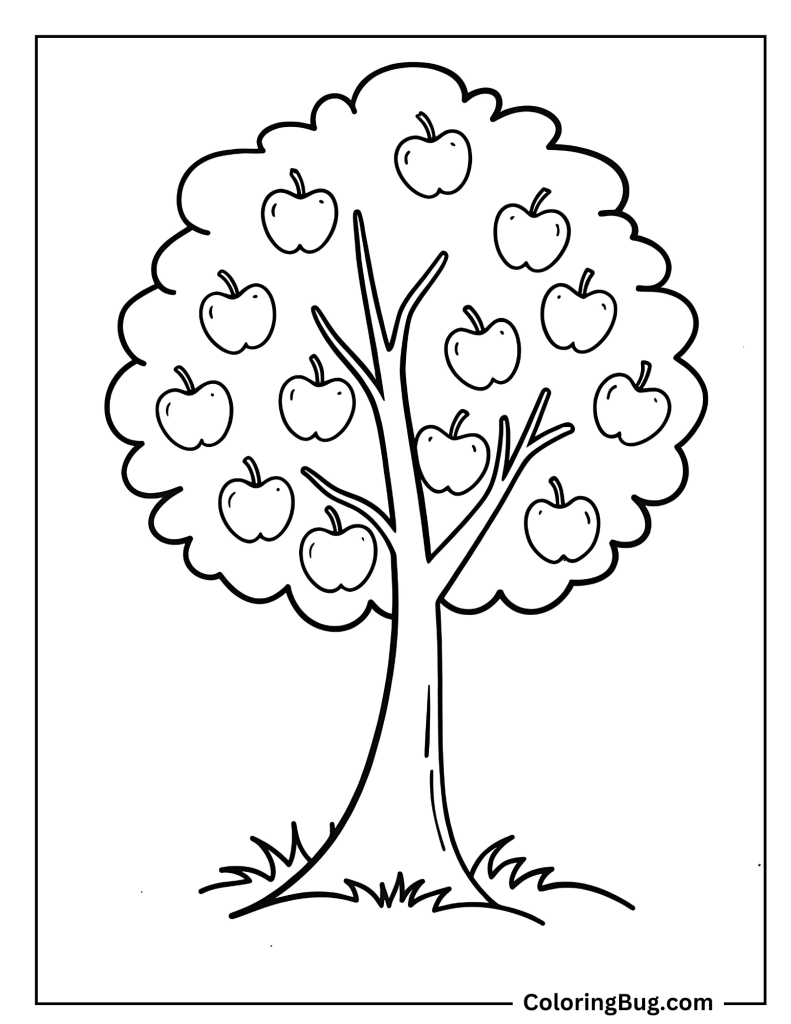 30 Apple Coloring Pages (Free Printable PDFs)