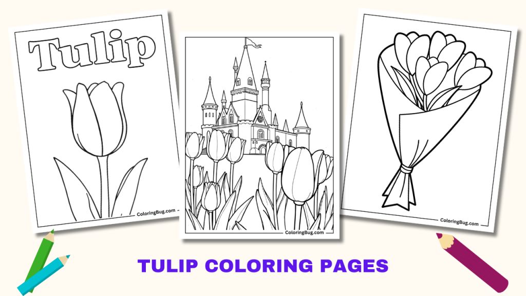 30 Tulip Coloring Pages (Free Printable PDFs)