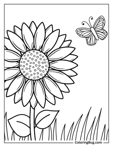 30 Sunflower Coloring Pages (Free Printable PDFs)