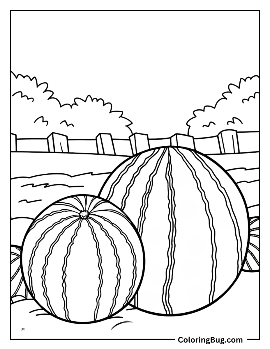 30 Watermelon Coloring Pages (Free Printable PDFs)