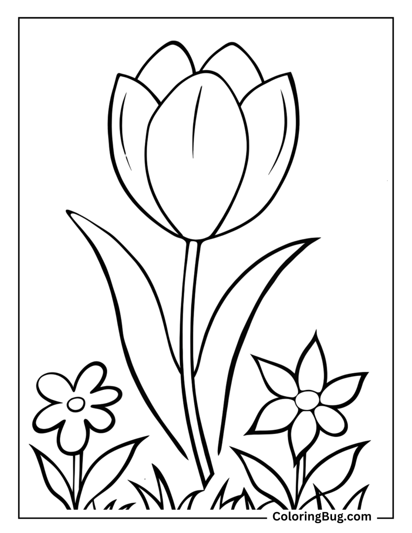 20 Spring Flowers Coloring Pages (Free Printable PDFs)