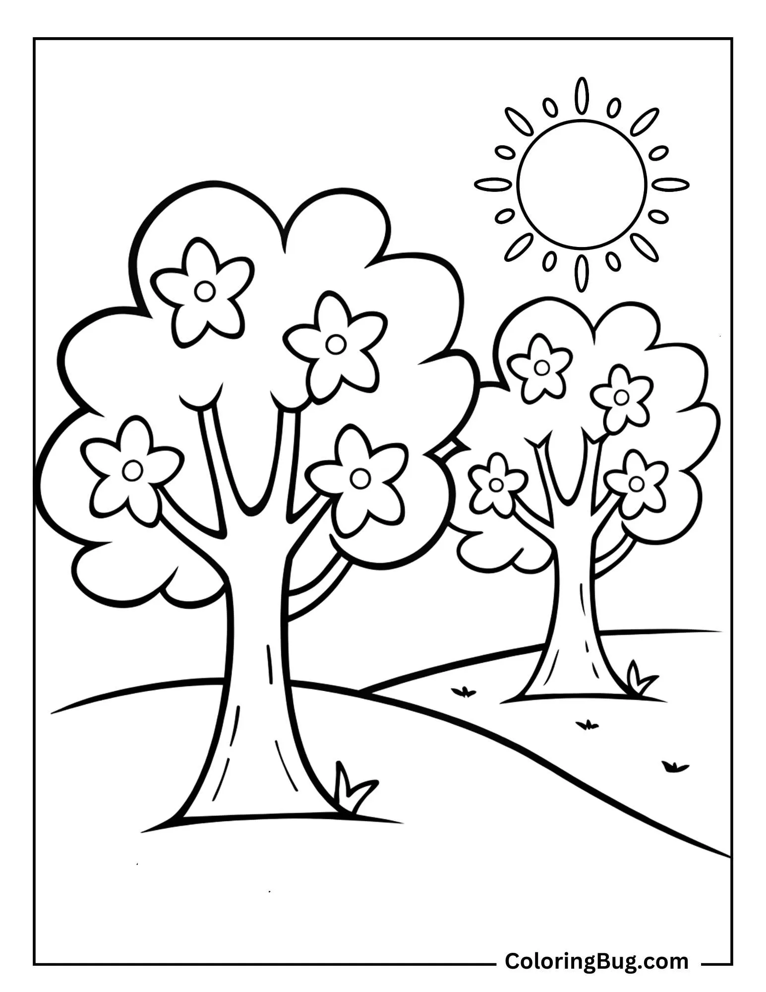20 Spring Flowers Coloring Pages (Free Printable PDFs)