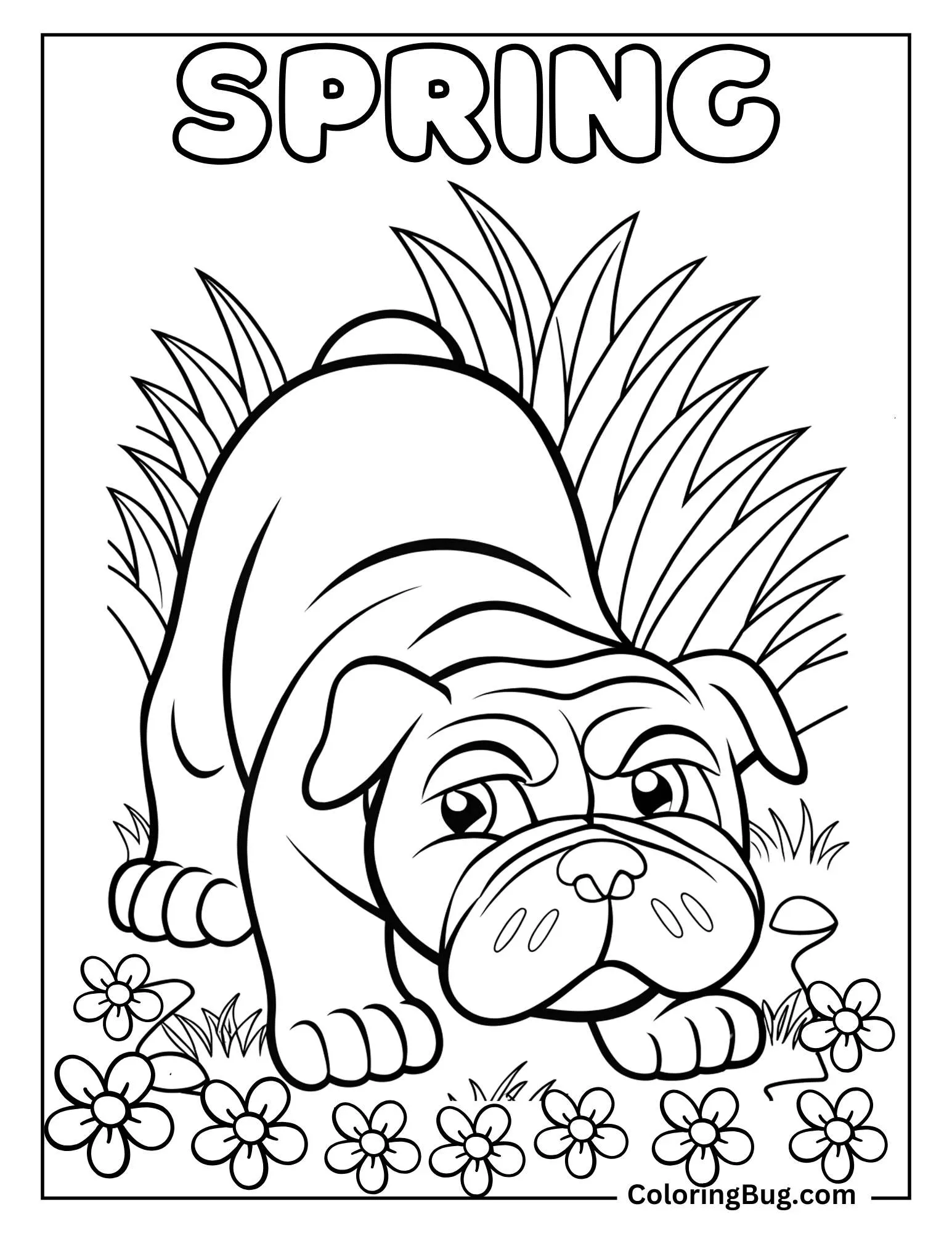 20 Dog Spring Coloring Pages (Free Printable PDFs)